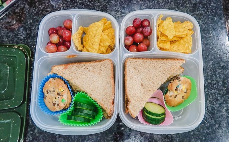 10 Easy Kids School Lunch Box Ideas (and Supplies I LOVE!) - Our Crow's ...