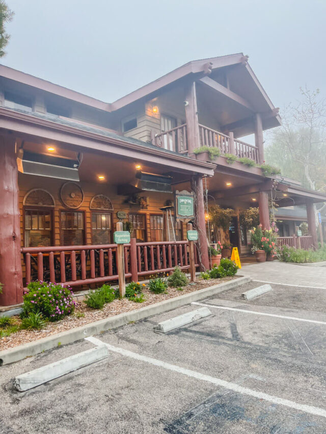 Cambria Pines Lodge Review in Stunning Cambria, Ca. - Our Crow's Nest