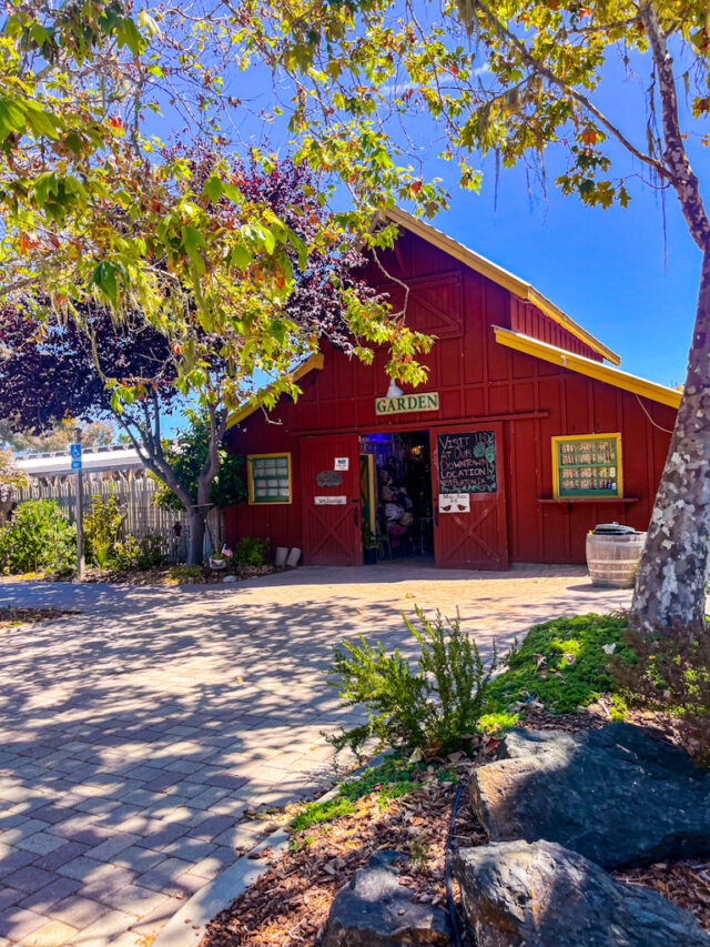 Cambria Pines Lodge Review in Stunning Cambria, Ca. - Our Crow's Nest