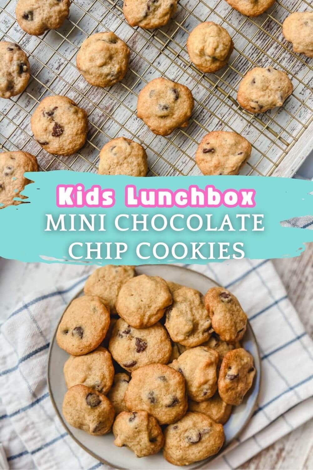 Kids Lunchbox Mini Chocolate Chip Cookies Recipe - Our Crow's Nest