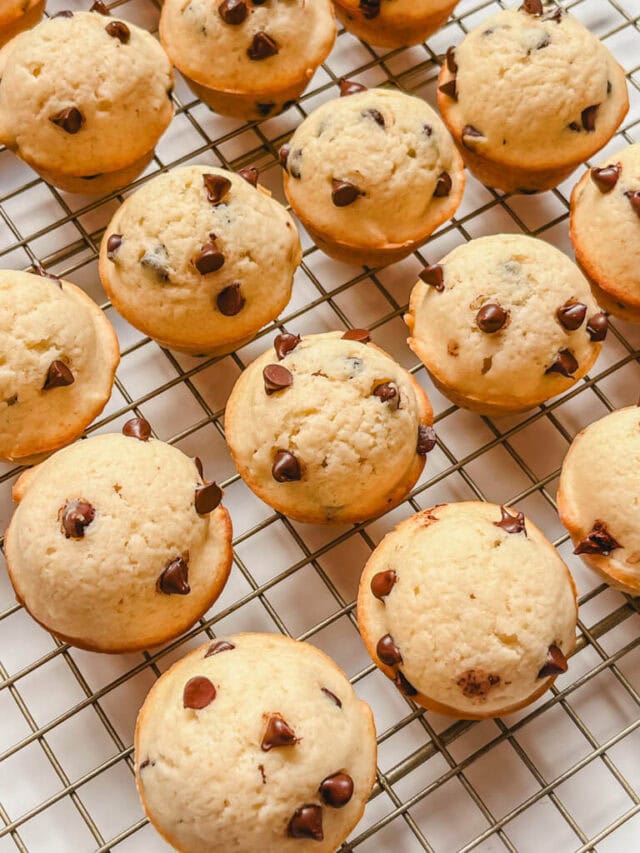 Mini Chocolate Chip Muffins (Little Bites Copycat Recipe) - Our Crow's Nest