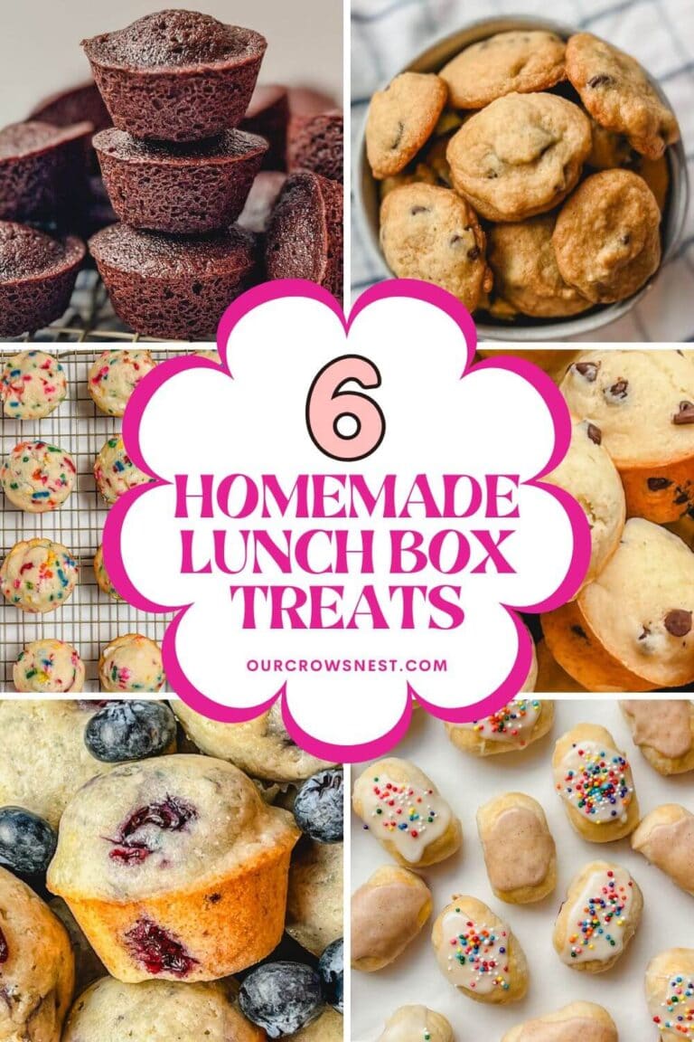 6 Homemade Lunchbox Snacks (Freezer-Friendly Recipes) - Our Crow's Nest